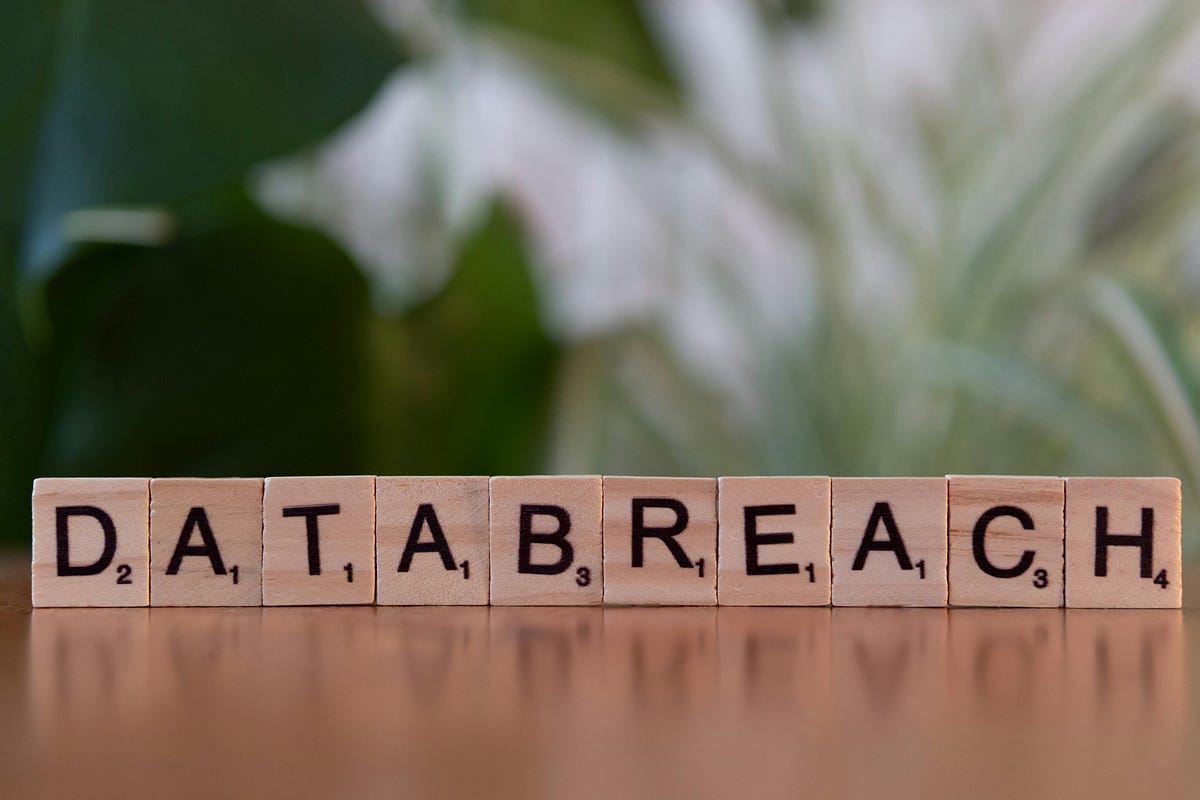 Types of Data Breach: What They Are and How to Recognize Them | by ...