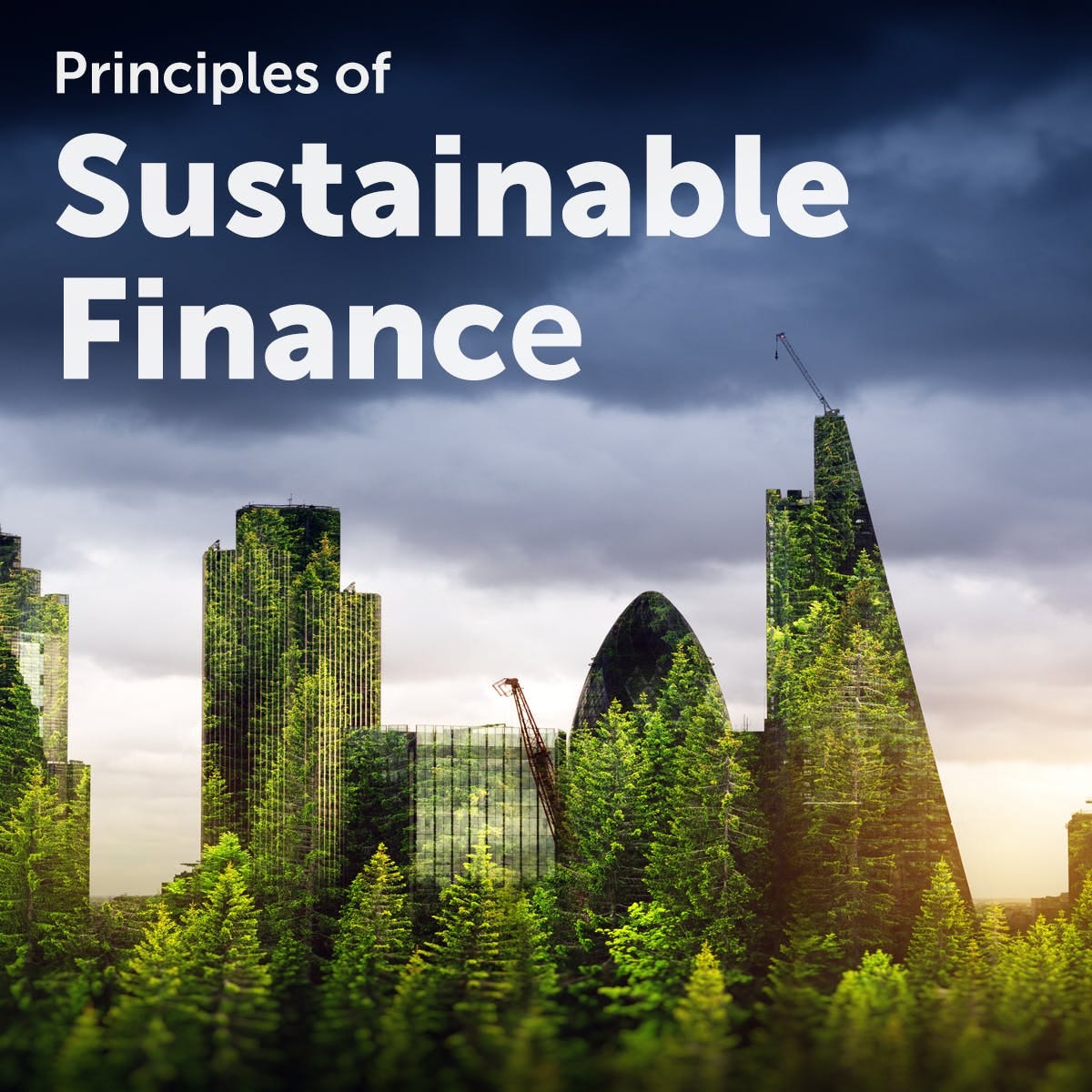 Nice to meet you! Sustainable Finance😂 | by Chantanuer | Medium