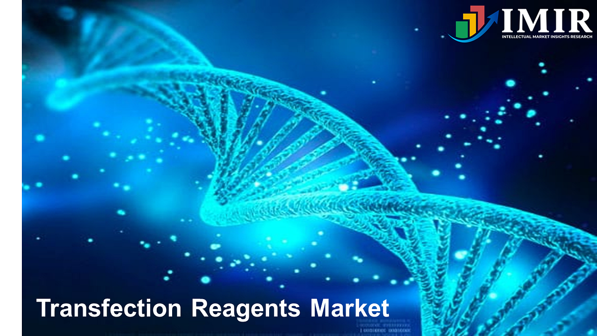 Breaking Boundaries: Innovations Shaping the Global Transfection ...