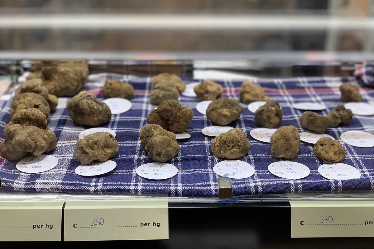 Alba Truffle Fair Guide 2026: Dates, Tickets, & Prices | by Victoria ...