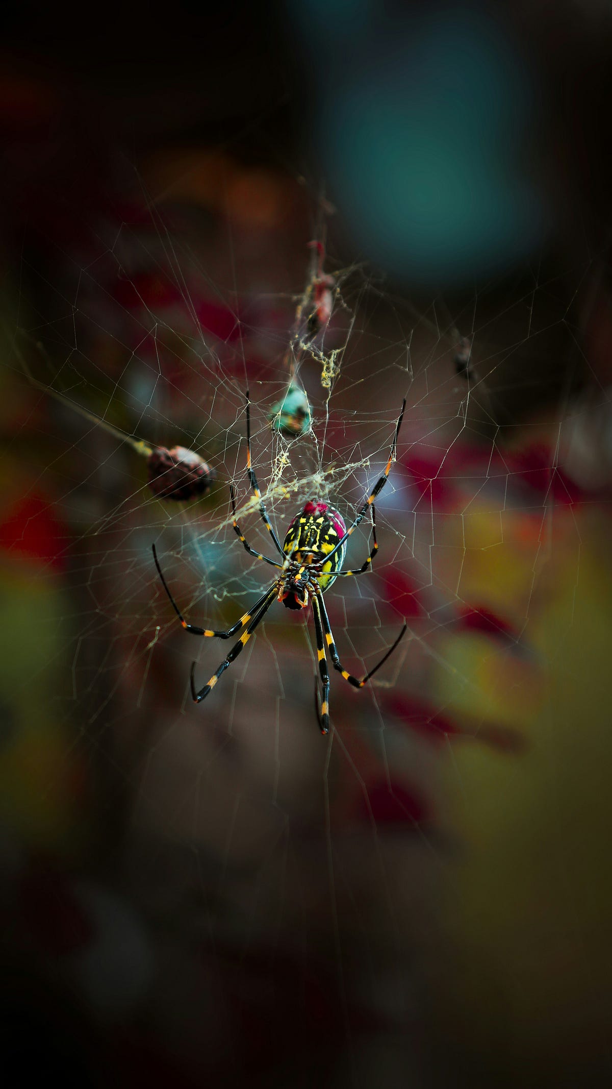 4 Essential Ingredients for Toxic Leadership: | by Matt Heyn | New ...