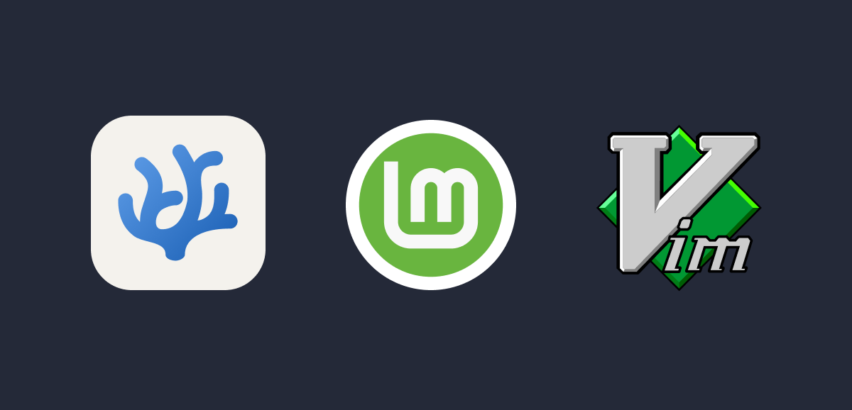 Your First C Program on Linux: A Quick Guide with Vim and VSCodium ...