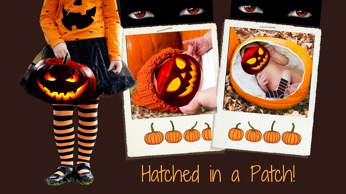 Call me Patches.. Let me ‘splain. Mum was a pumpkin. | by Marilyn ...