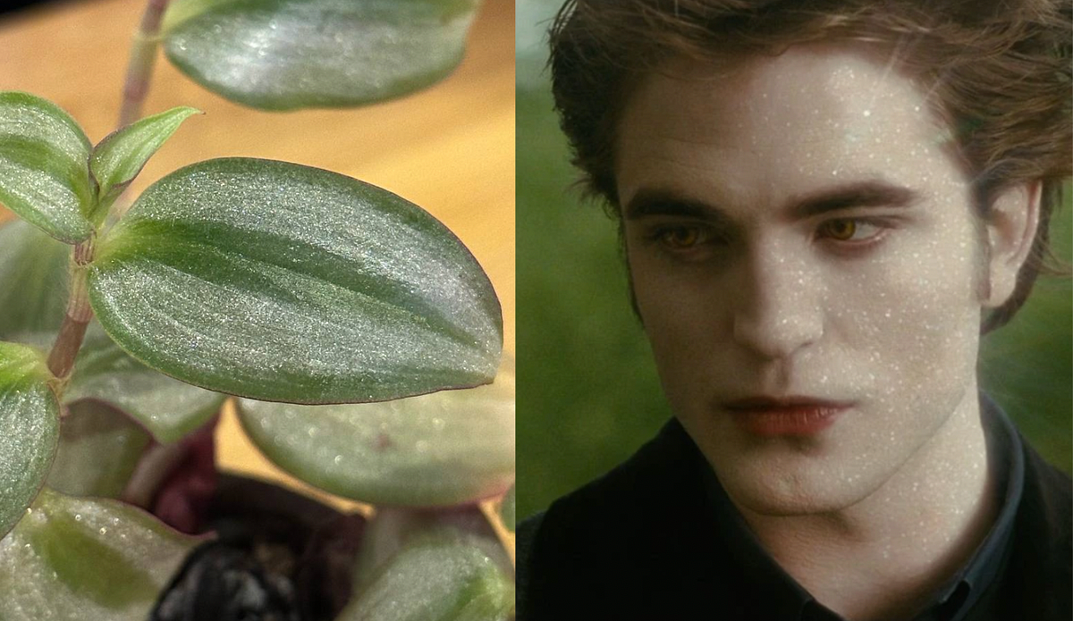 Why Is Edward Actually Sparkling? A Scientific Explanation | by valepr ...