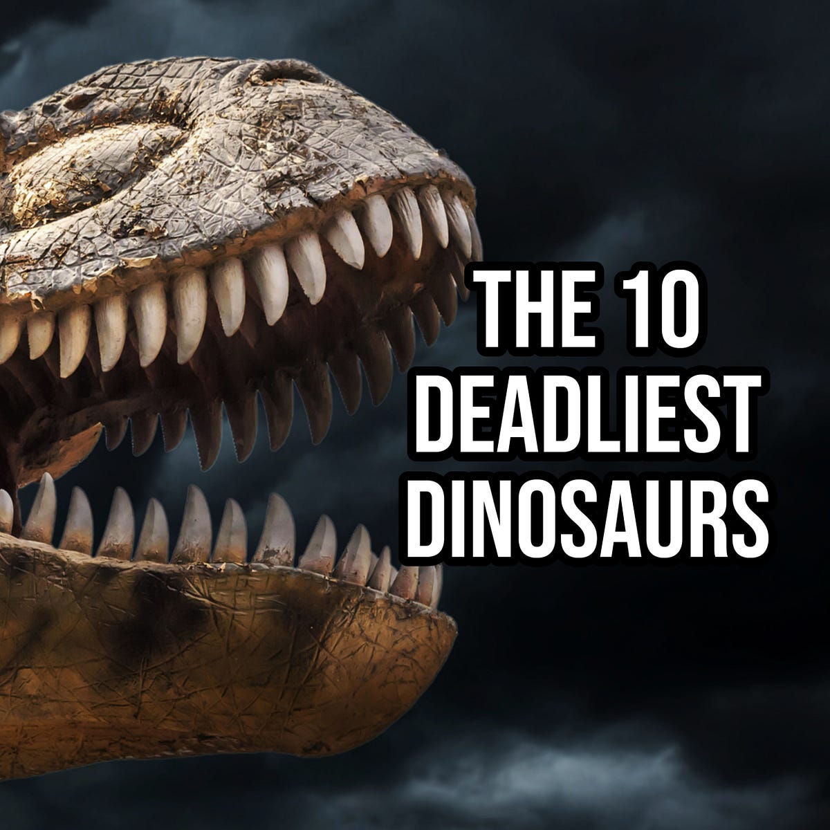 What Were the 10 Deadliest Dinosaurs? | by Larry Slawson | Medium