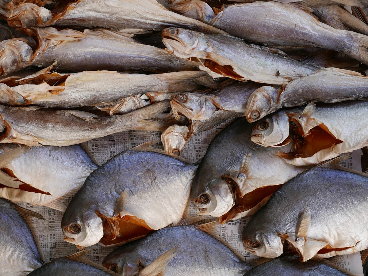 Macau (Macao) — Fish Market, Macau (Macao) | by Nick’s Wanderings | Medium
