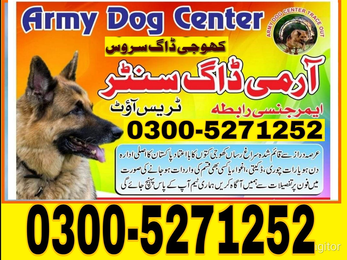 Army Dog Center Okara 03005271252 #armydogcenterokara - Pakistan Army ...