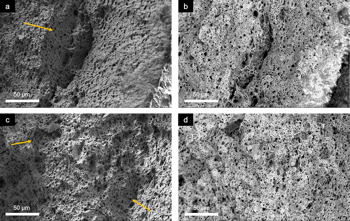 Comparing Secondary Electron and Backscattered Electron Modes in SEM ...