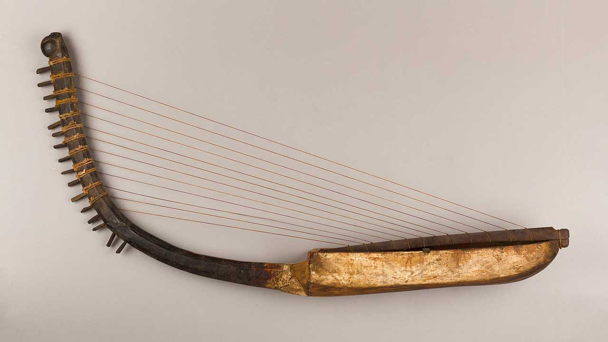 Evolution of the Guitar. Try to figure out what proceeded the… | by ...