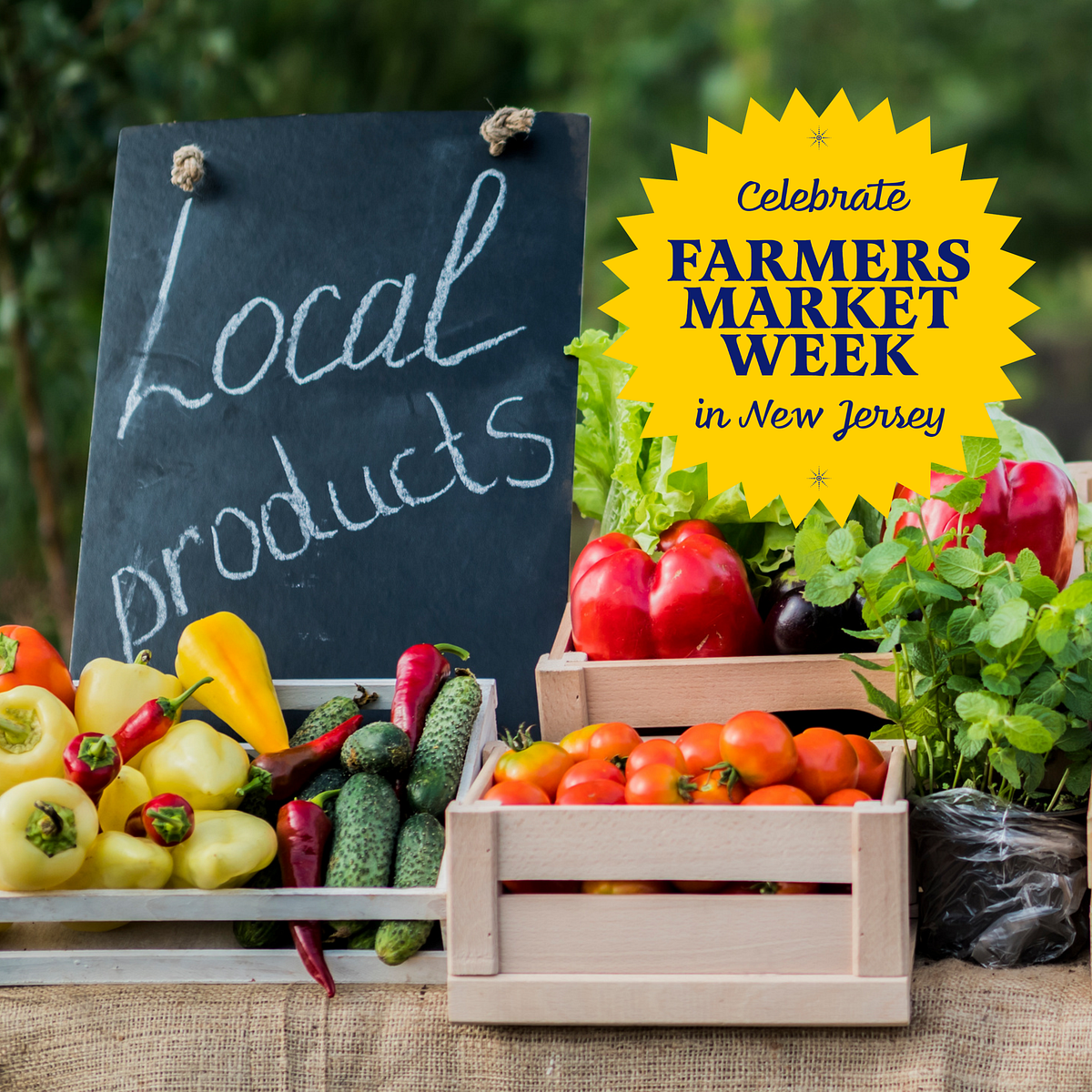 Celebrating Farmers Market Week: New Jersey Embraces the Peak of Jersey ...