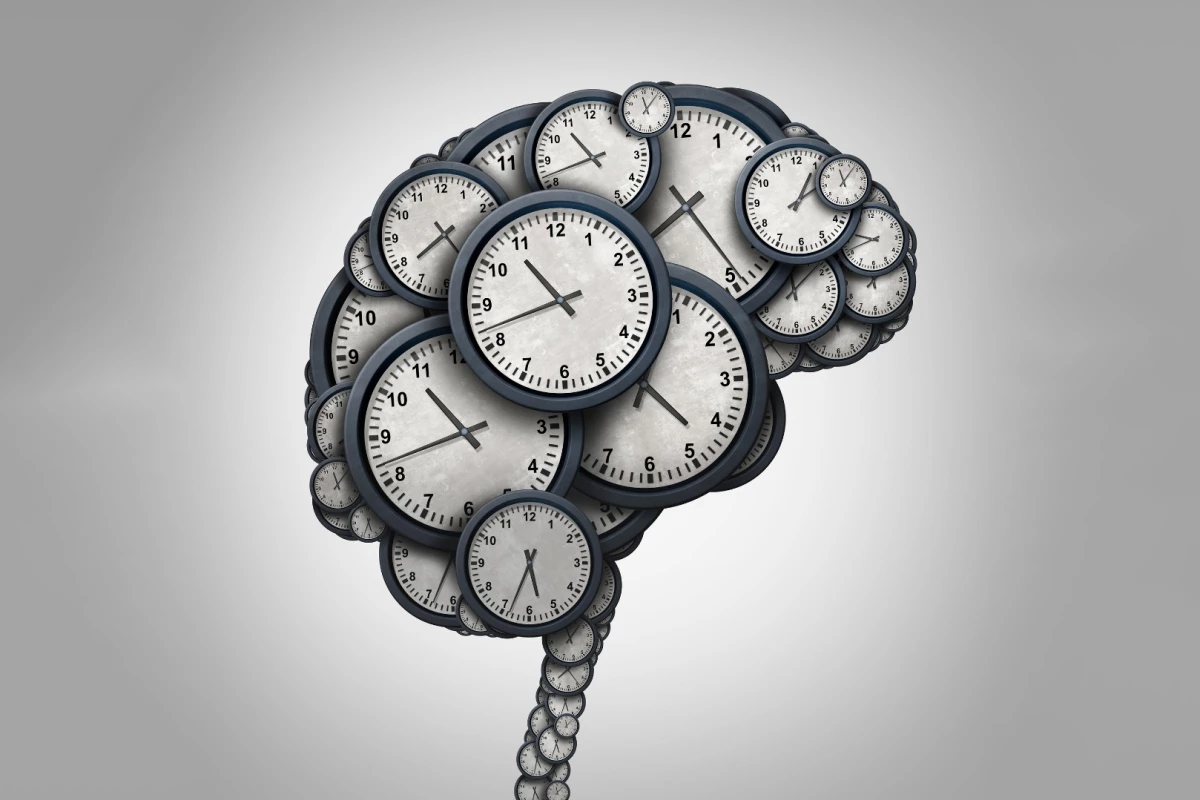 The Circadian Rhythm and How it Works | by Andrew Fleischer | Hypnos ...