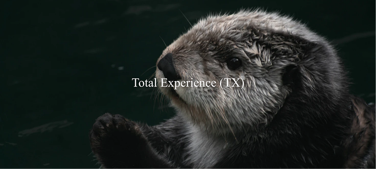 Total Experience Strategy: ปลายทางแห่งการออกแบบประสบการณ์ของ Brand | by ...