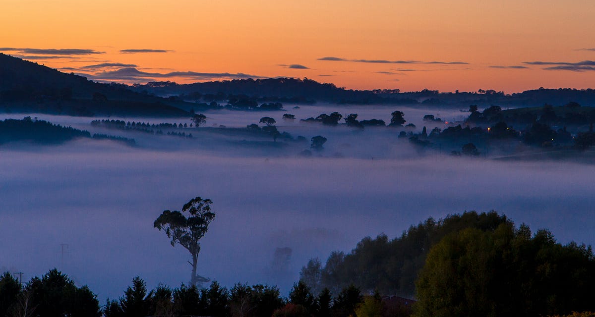 Arise - Rahjon Acey - Medium