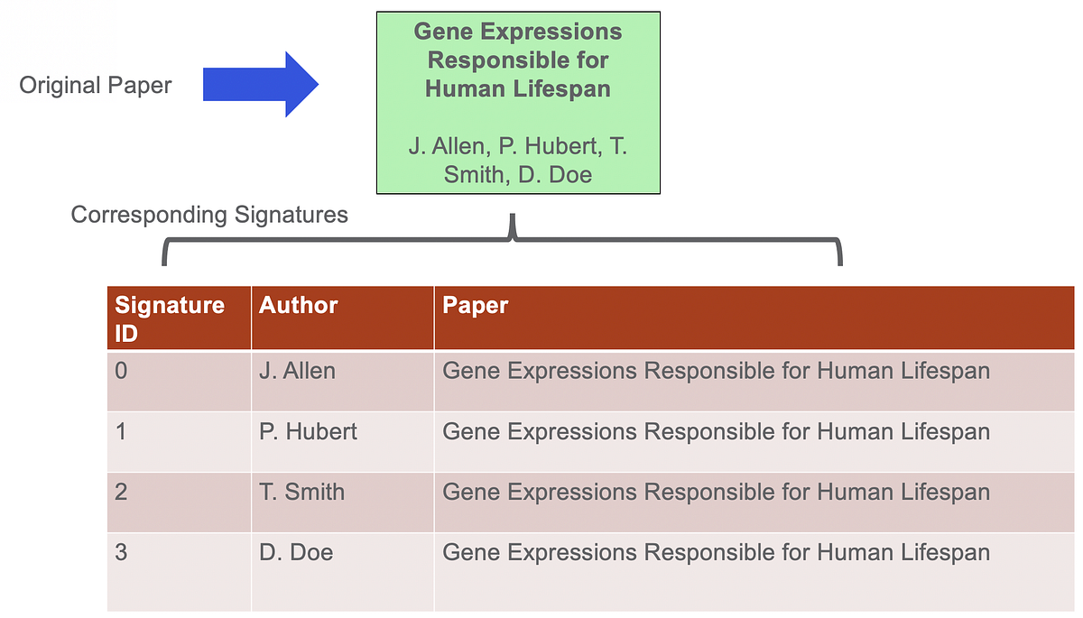 S2AND: Allen AI Paper Summary. How the Allen Institute for AI… | by ...
