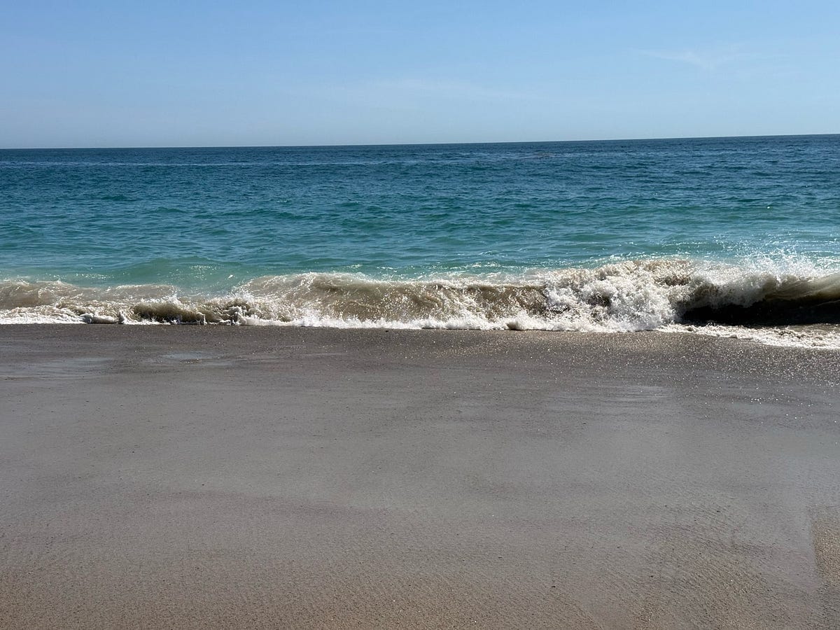 Day at the Beach. So much enrichment | by Dr. Seema Patel (PhD) | Write ...