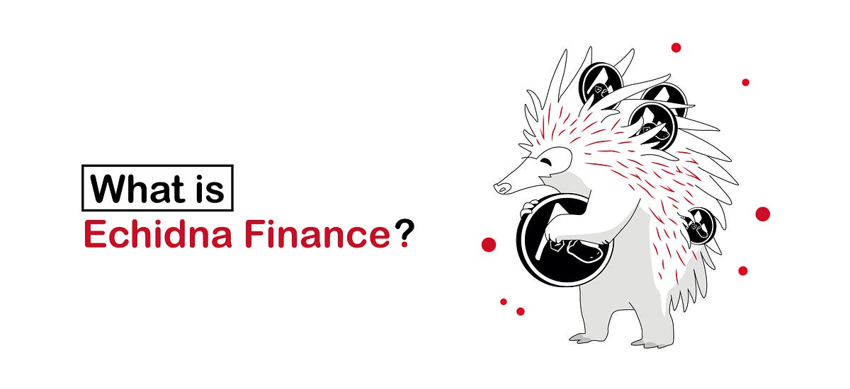 What is Echidna Finance?. Read more about our mission to become… | by Echidna Finance | Medium