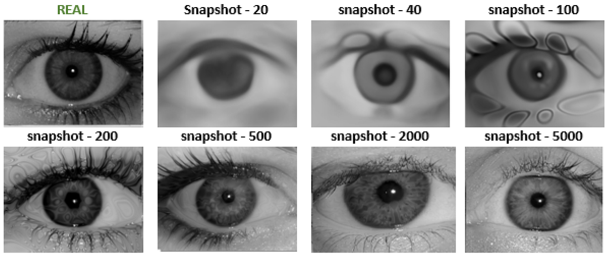Synthetic Eye Iris Projections Using GANs and Deepfake Method | by ...