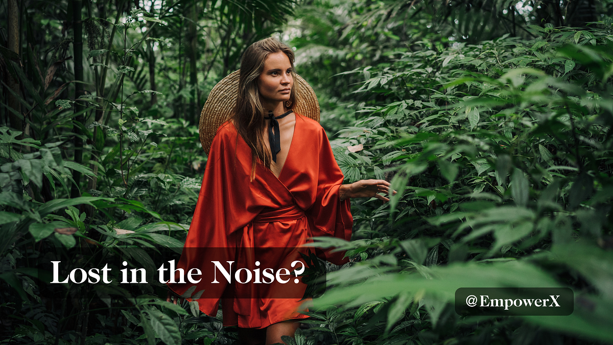 Lost in the Noise?. A Guide to Understanding and Pursuing… | by ...