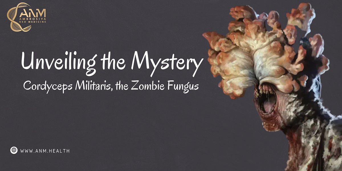 Unveiling the Mystery: Cordyceps Militaris, the Zombie Fungus | by Anm ...