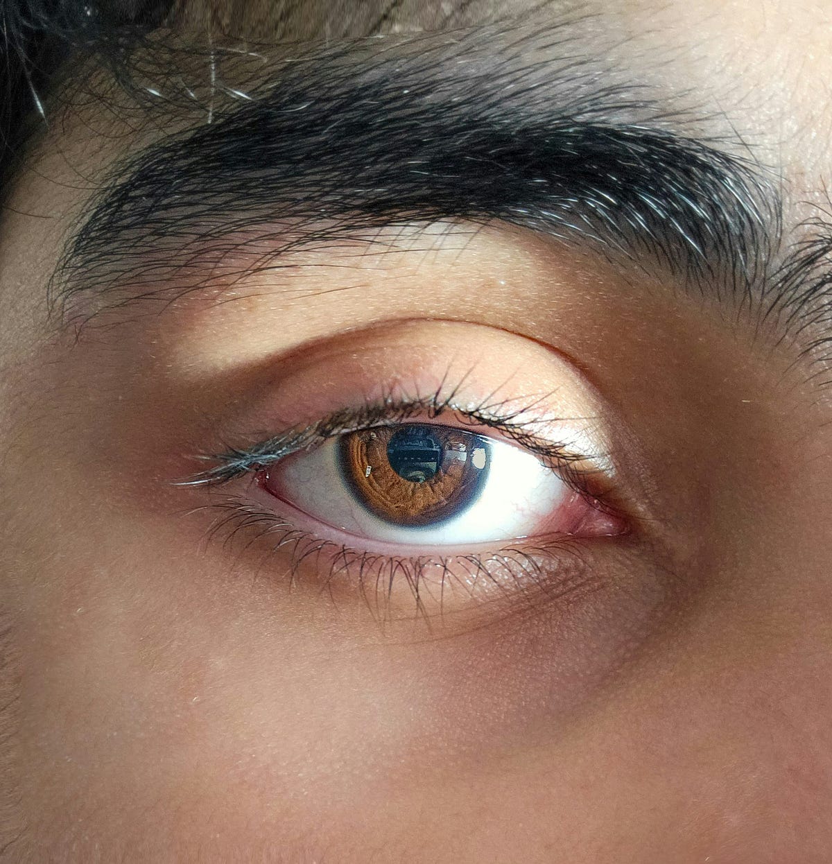Why Are Some Eyes So Captivating? | by Aniket Raj | ILLUMINATION | Apr, 2025 | Medium