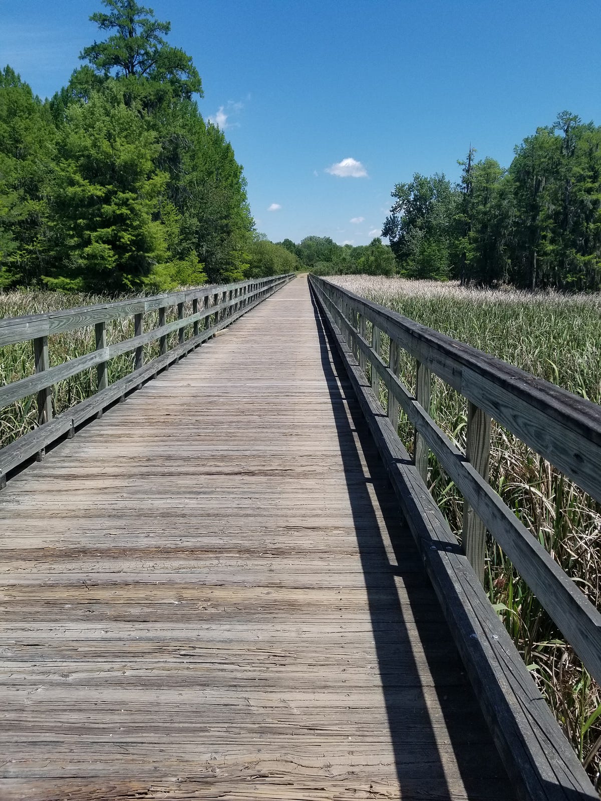 I Want A Simple Life. I want simple, yet I’d gladly take back… | by ...