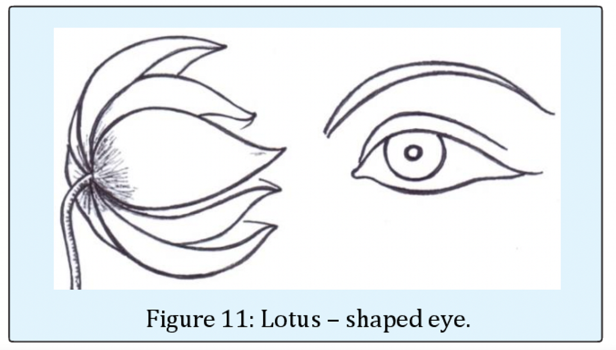Lotus Eyes in the Songs of Muthuswami Dikshitar | by Vishnu Vasudev ...