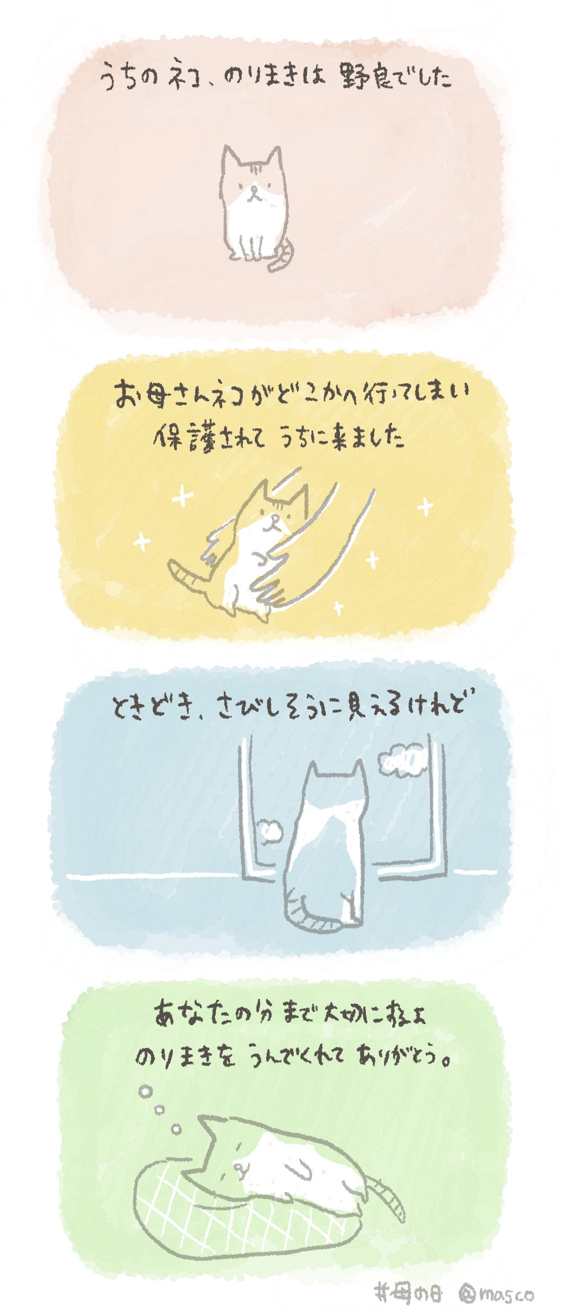 comics “about my cat”. My cat, named “Norimaki” was a stray… | by Minako Masubuchi | Medium