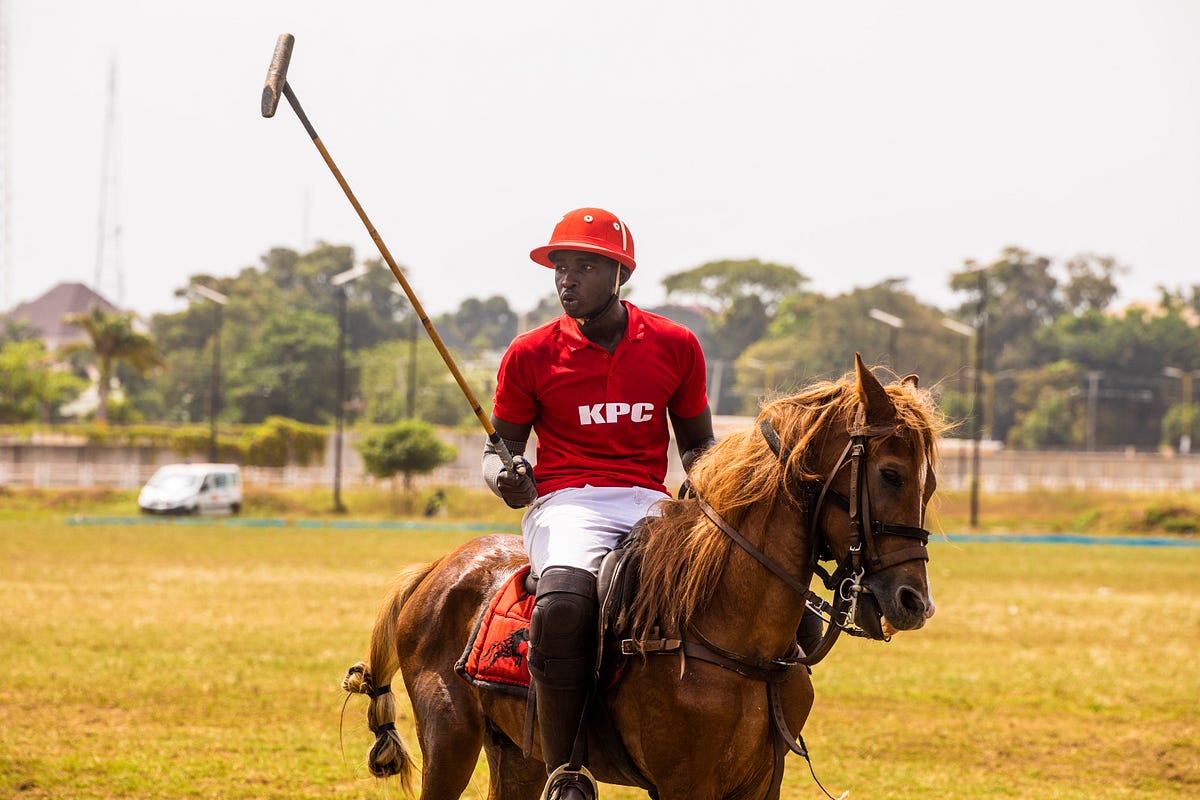I learnt something quite interesting about horses at the last Kaduna ...