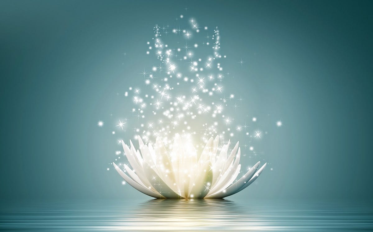 Exploring Ego & Consciousness. The Answers to All | by Joshua Seemungal | Medium