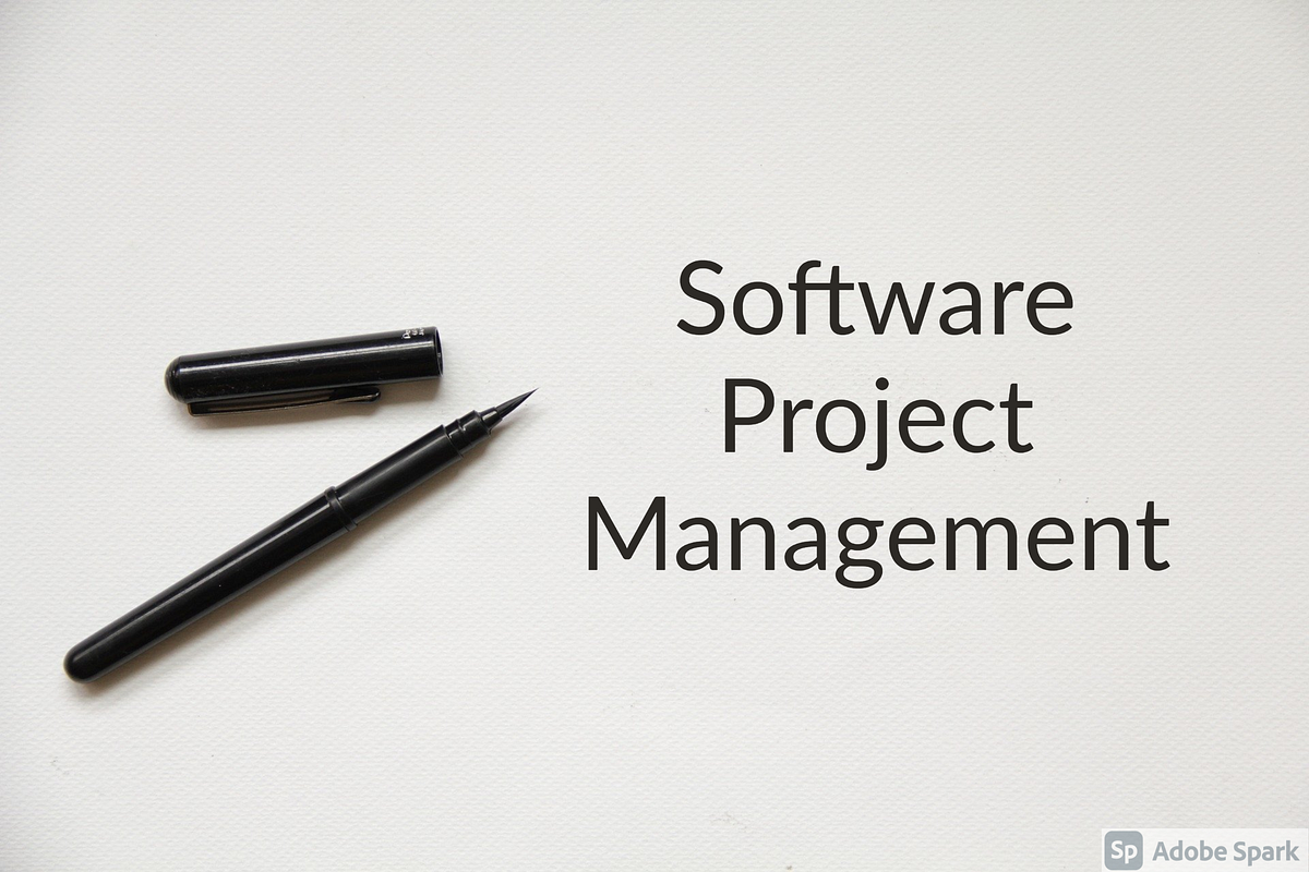 Overview of Software Project Management | Dev Genius