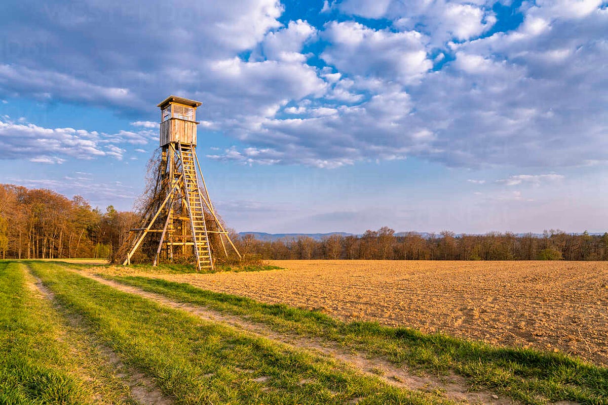 Embracing the Monsters. Windmills have transformed from mere… | by Uzair Khan | Medium