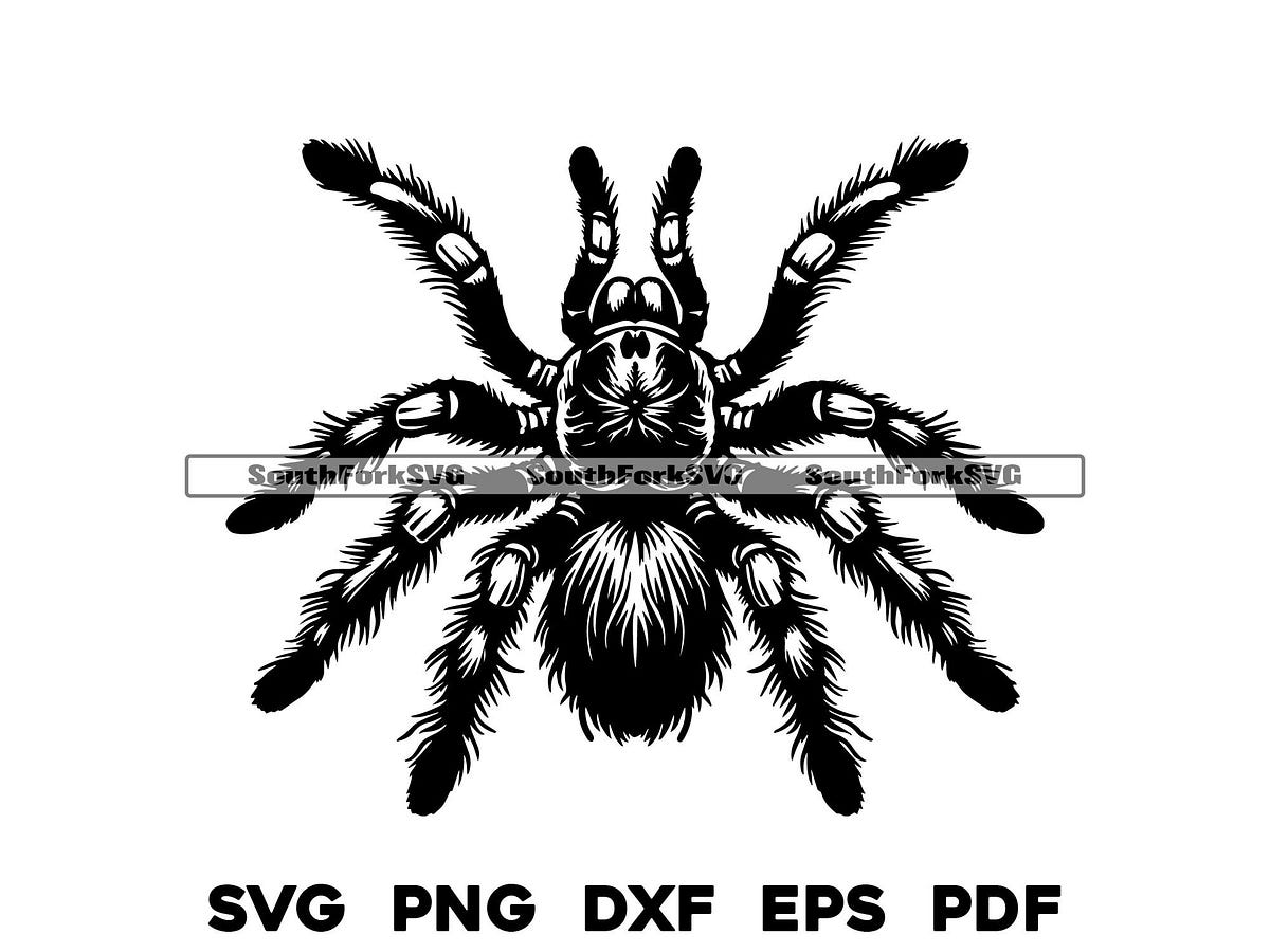 Tarantula Spider svg png dxf eps pdf | vector graphics design cut print ...