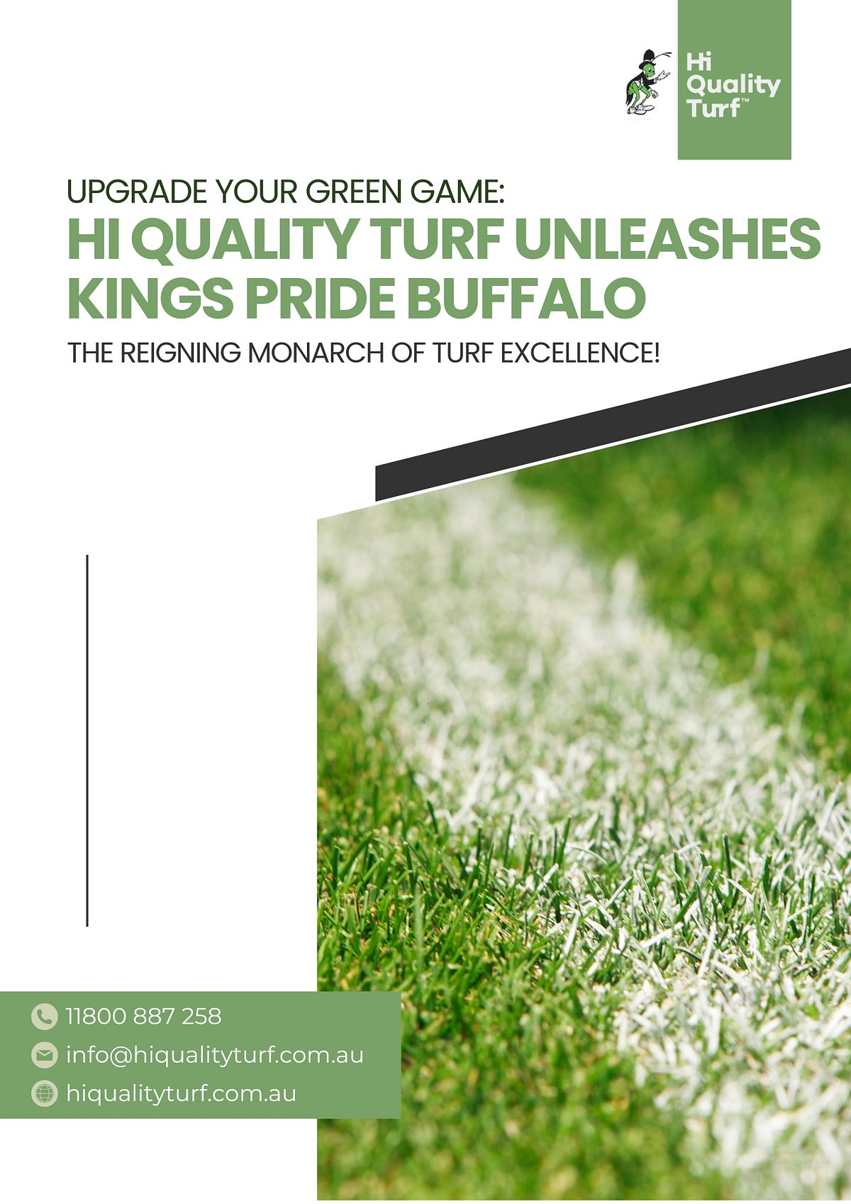 Upgrade Your Green Game: Hi Quality Turf Unleashes Kings Pride Buffalo ...
