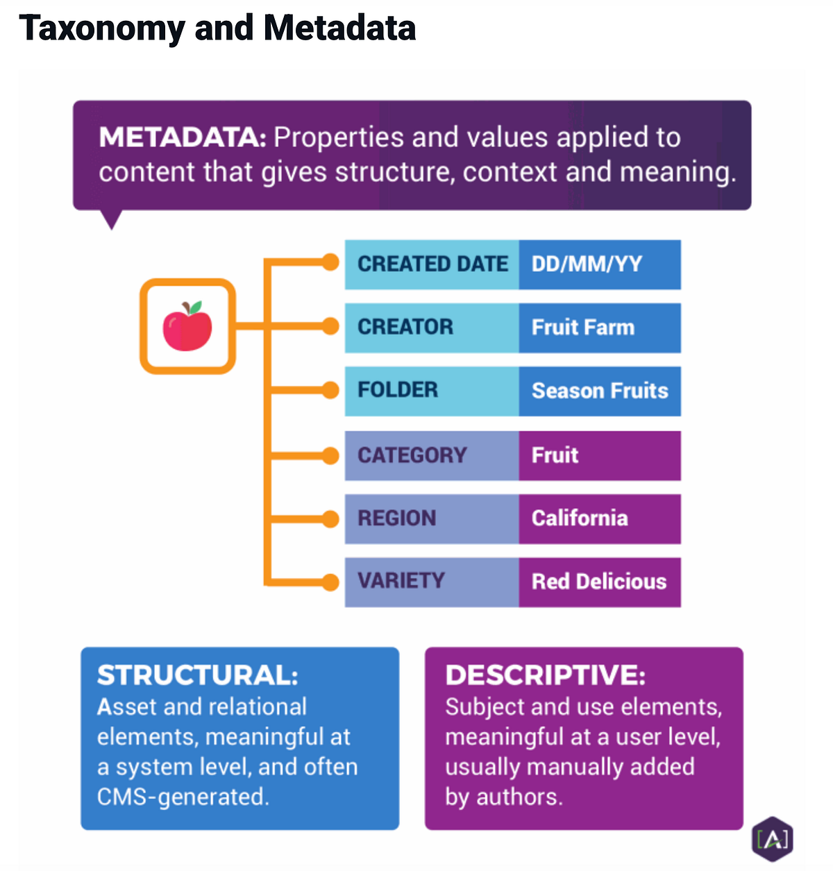 Metadata & Taxonomy Part 1. The Invisible Backbone of Content… | by ...