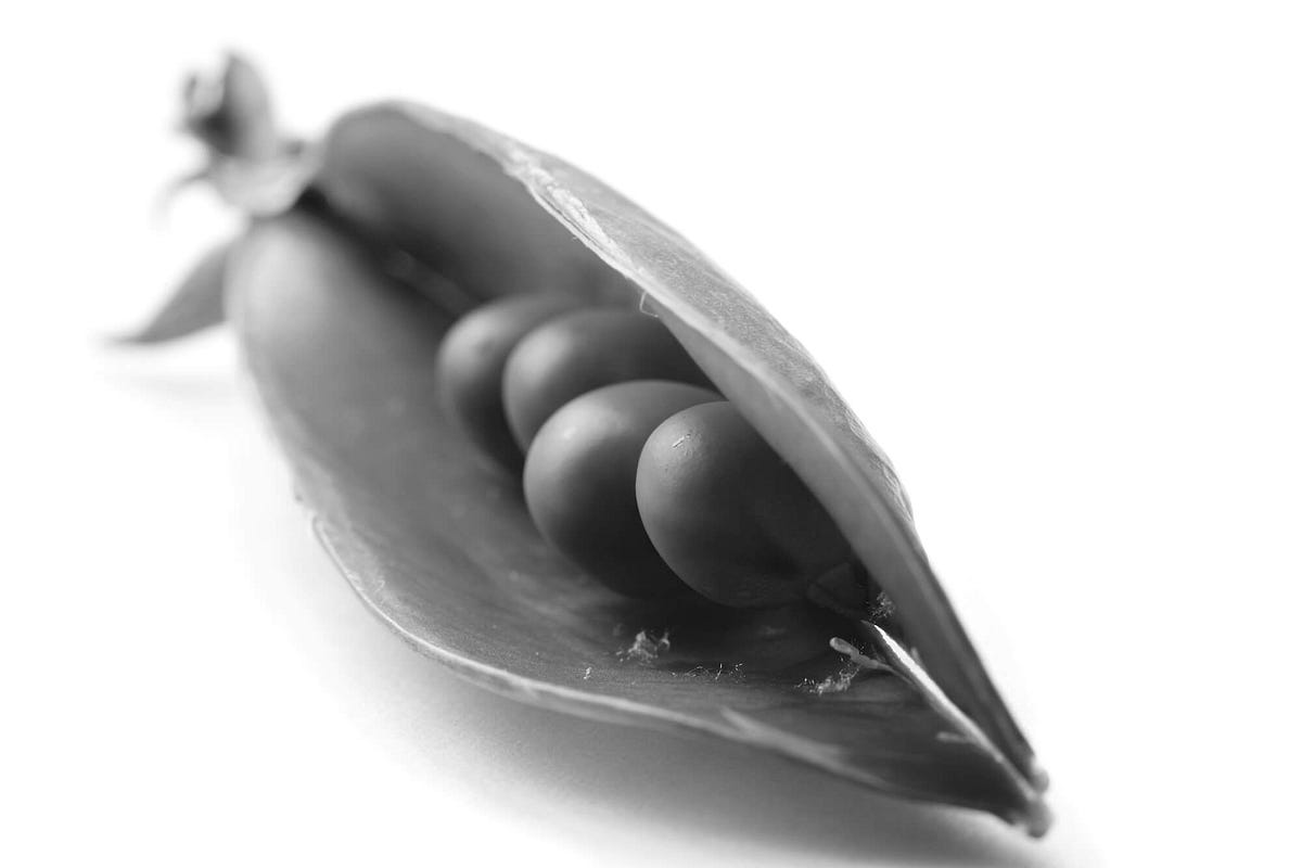 Six lessons from transforming city food systems | by Ellen MacArthur ...