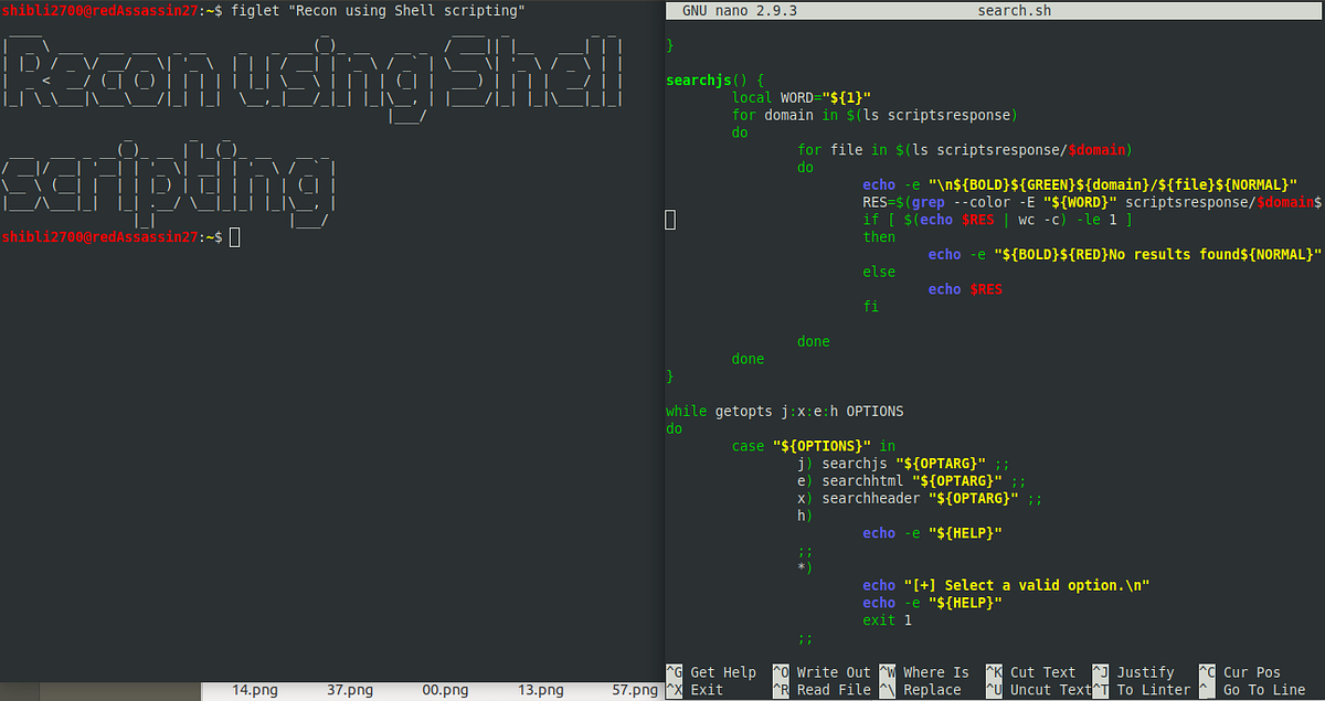 Fasten your Recon process using Shell Scripting | by Mohd Shibli ...