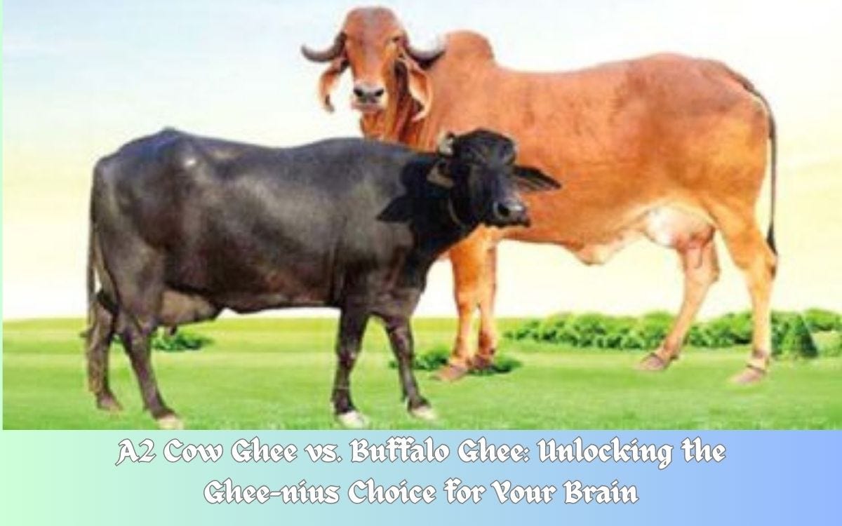 A2 Cow Ghee Vs Buffalo Ghee Unlocking The Ghee Nius Choice For Your Brain By Bestinfoworld