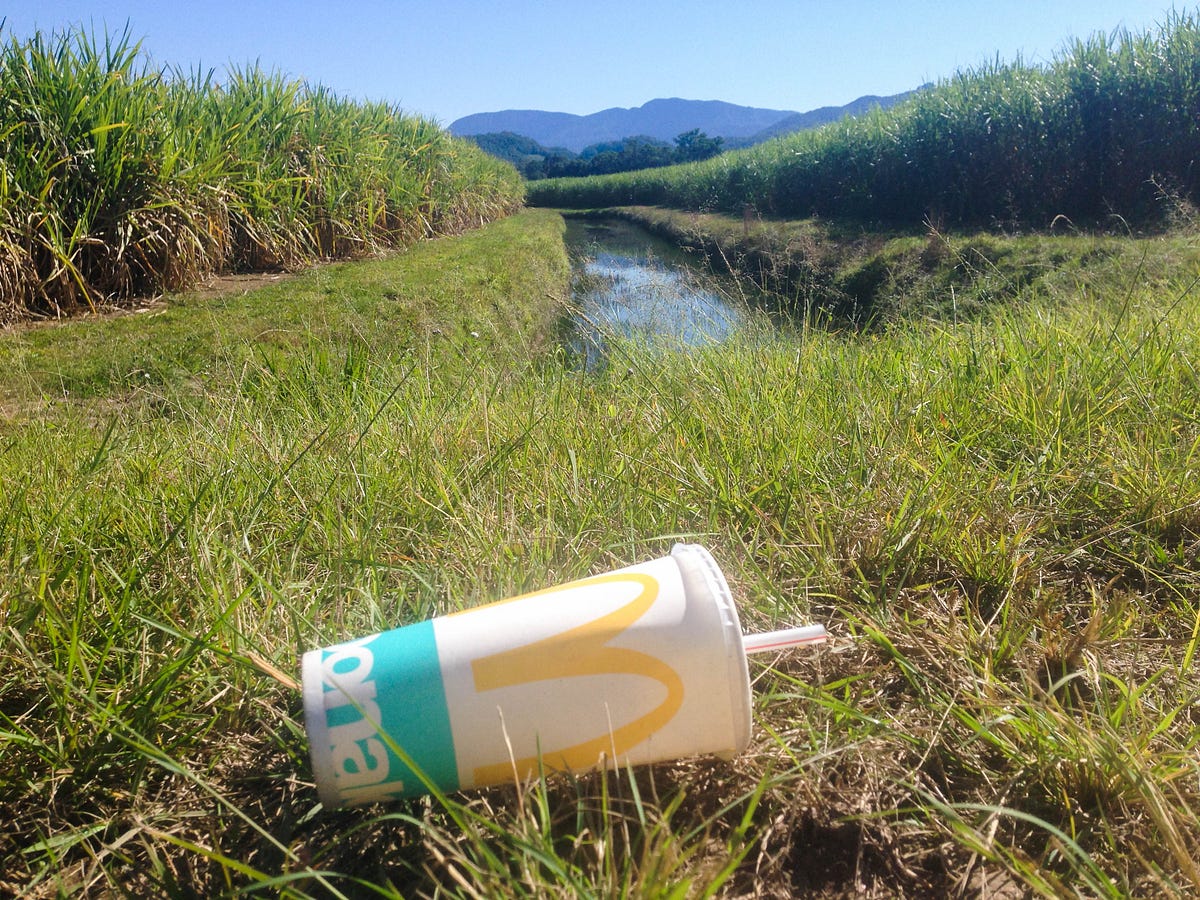 The Top 6 Habits of a Litterbug. Have you ever wondered who would throw ...