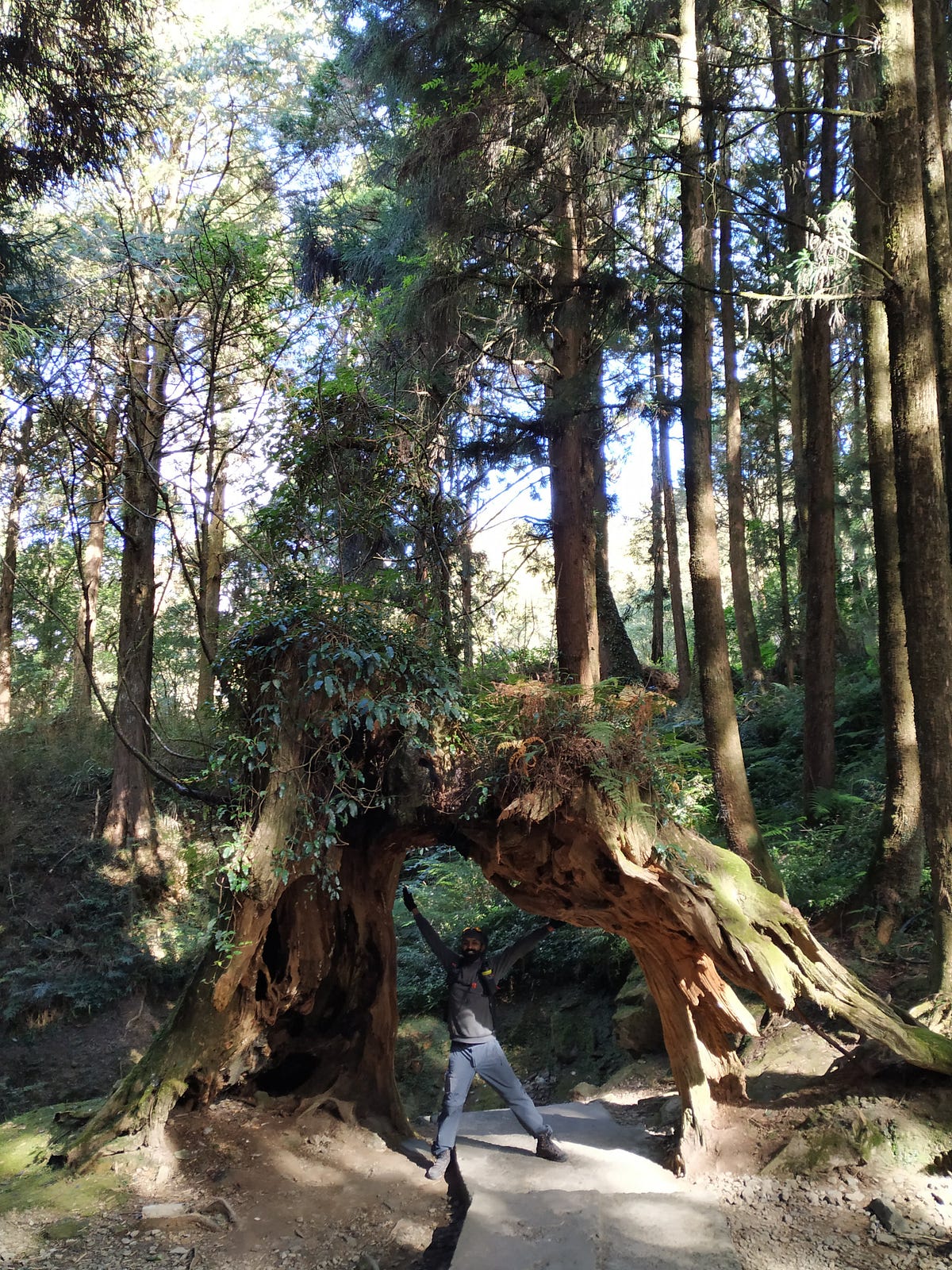 Revisiting the Roots…. To solve problems that are important, I… | by ...