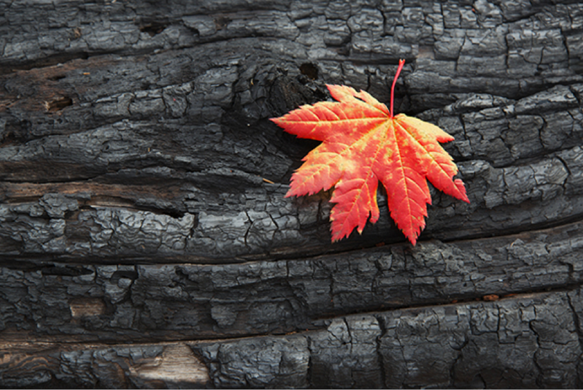 A Guide to the Present. Finding orientation in an age of… | by Tom ...
