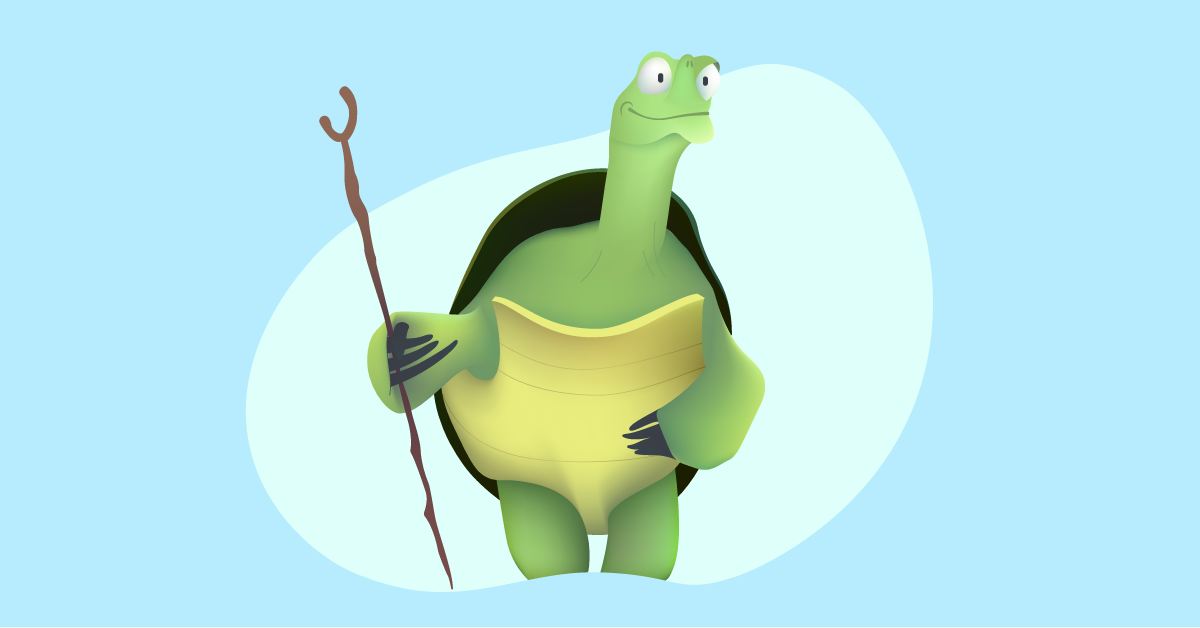 Kung Fu Panda Characters Turtle