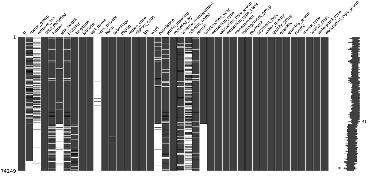 Pump it up — How to deal with missing data? | by Brenda Loznik | Medium