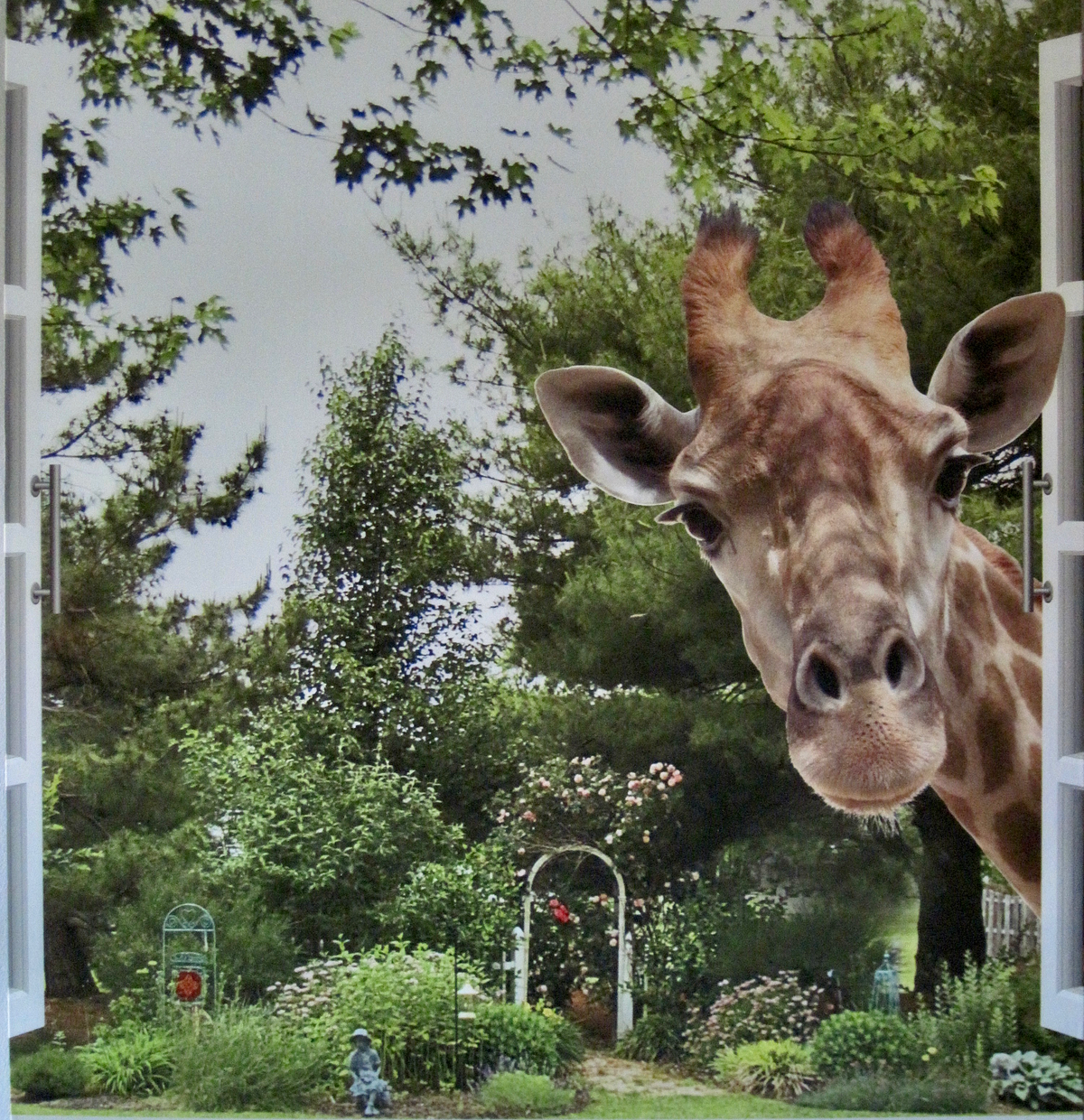 Is That A Giraffe Peering Through My Window? - The Shortform - Medium