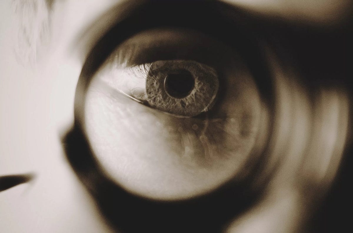Human Eye vs Digital Camera. We often take for granted the… | by Maicol ...
