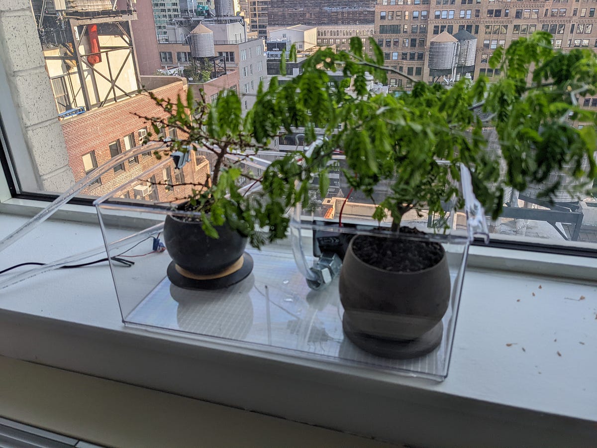 Building a Remote Bonsai Watering System | by Amogh Kambale | Medium
