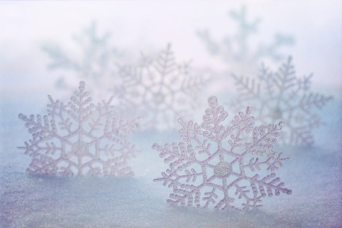 Insignificant. Strength in numbers — a poem | by Lynne Collier | Weeds ...