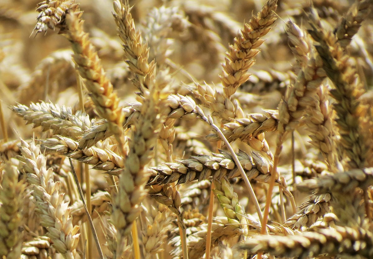 Lots Of Java 9, A Little IntelliJ, And A Git Nugget | by Nicolai Parlog ...