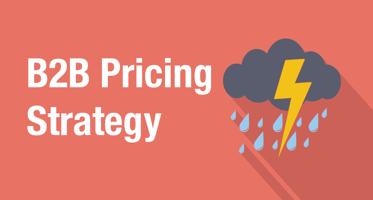 B2B Pricing Strategy — How to Weather the Profit Margin Storm | by Paul ...