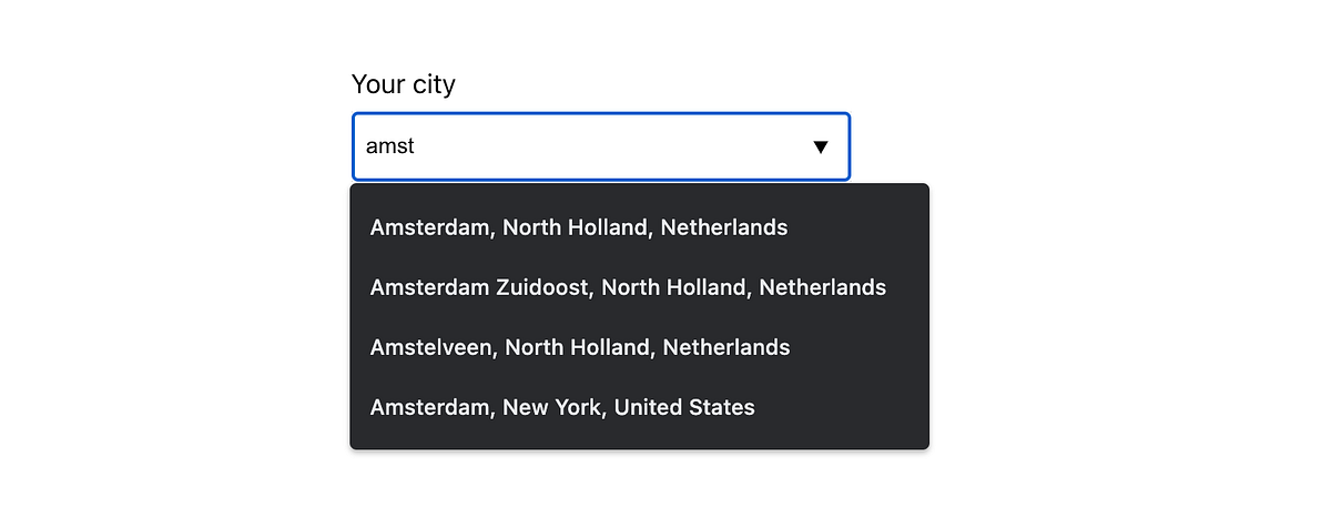 Create a Simple City Autocomplete Field in React | by Wendy de Kock | JavaScript in Plain English