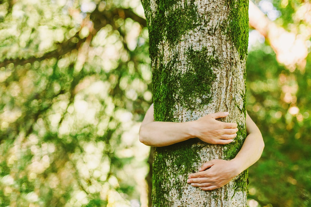 The scientific benefits of re-connecting with nature | by Qappy | Medium
